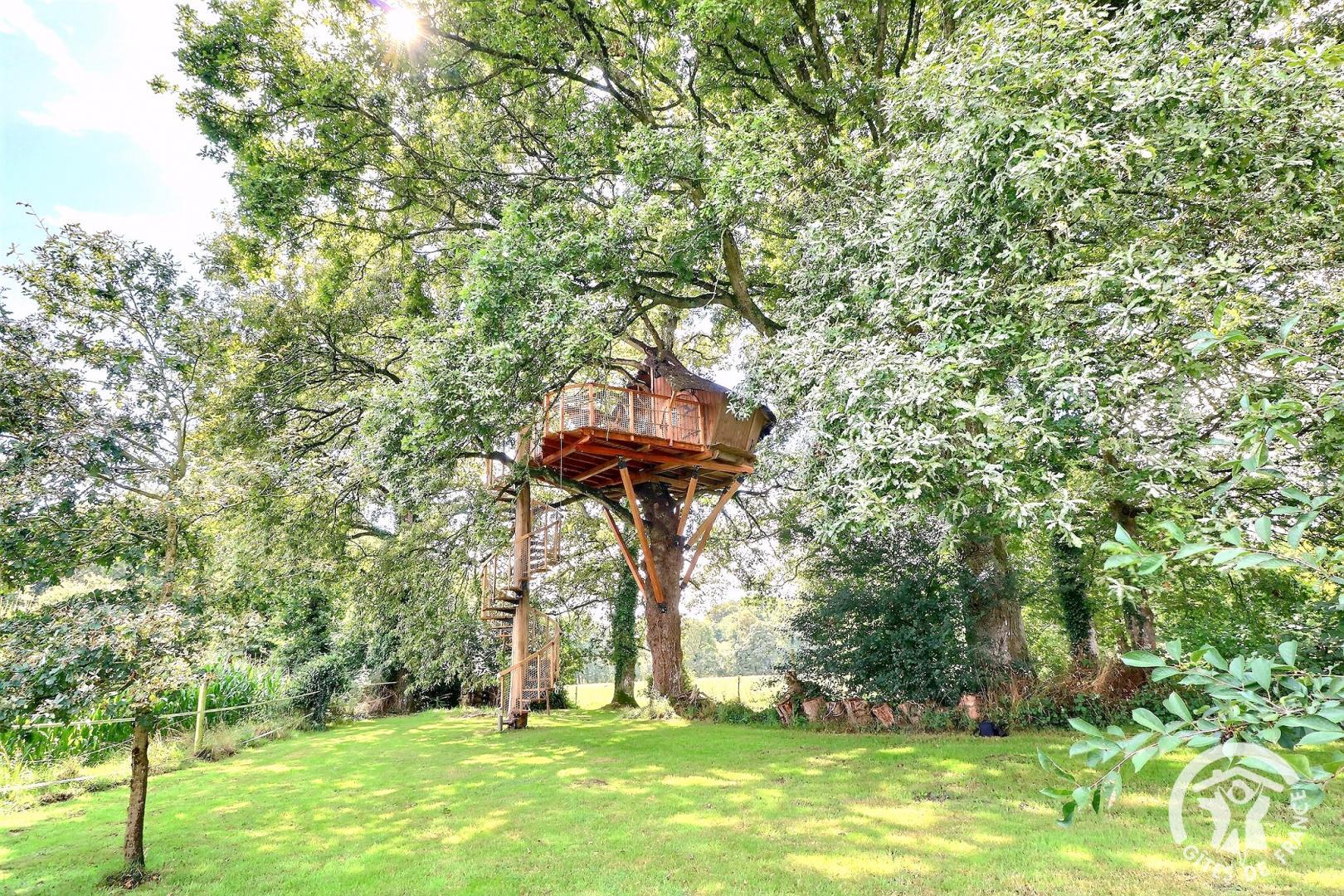 Cabane dans les arbres Manoir De L'alleu : La Chapelle Chaussee n ...